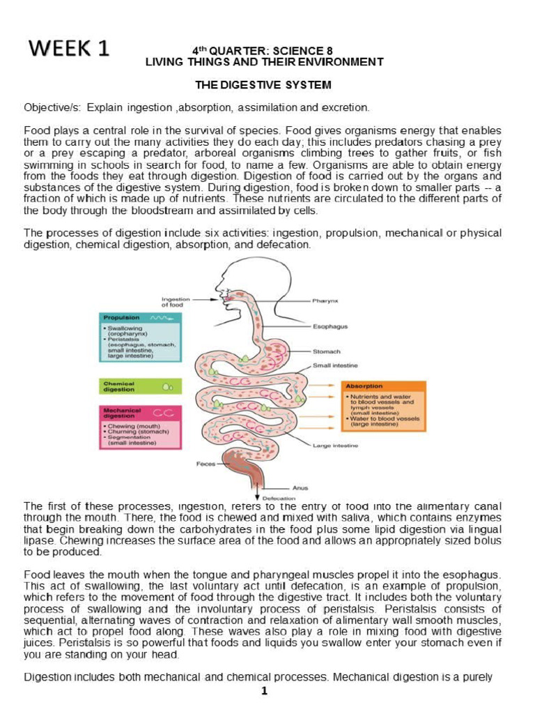 Week 1 4th Quarter | PDF
