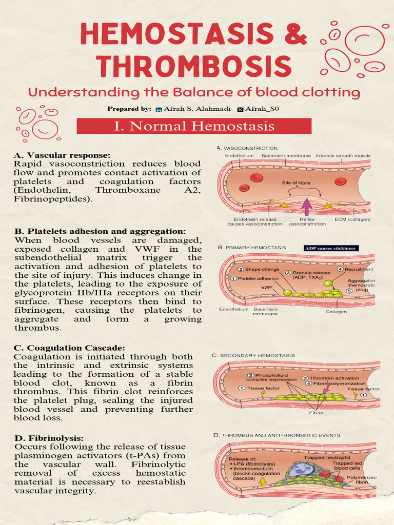 Understanding The Balance of Blood Clotting: I. Normal Hemostasis | PDF