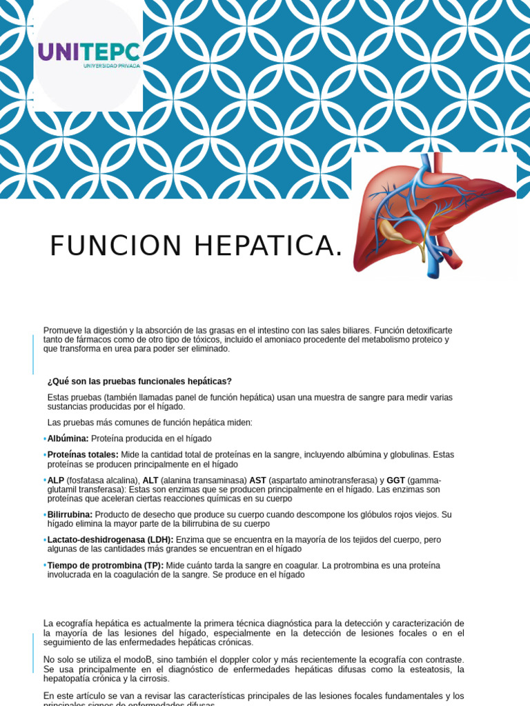 Slide Función Hepatica | PDF