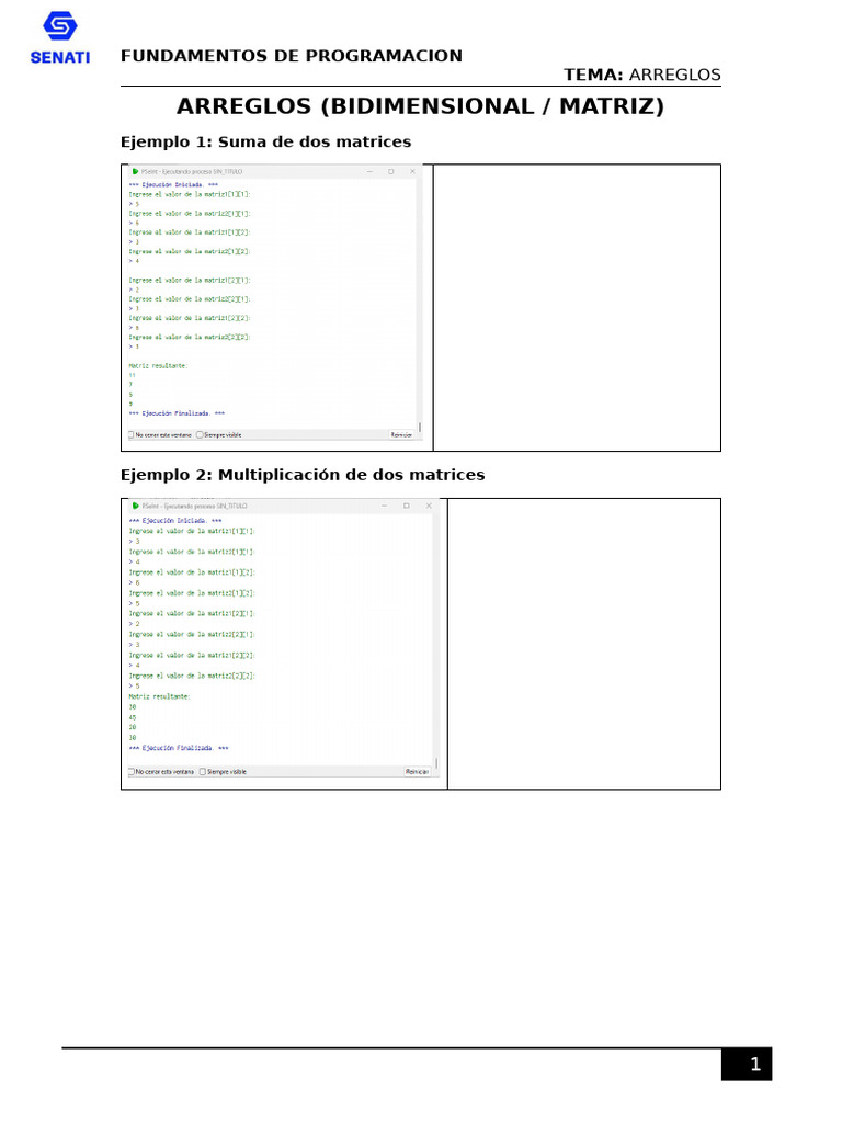 EJEMPLOS ALGORITMOS ARREGLOS - BIDIMENSIONAL | PDF