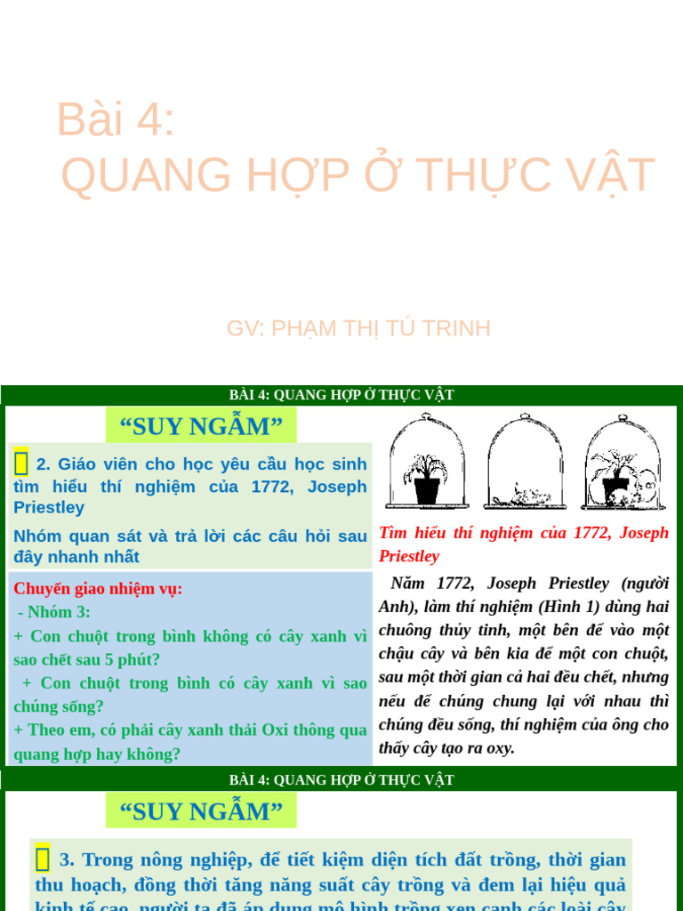 Sinh Hoc 11BAI 4 Quang Hop o Thu Vat | PDF