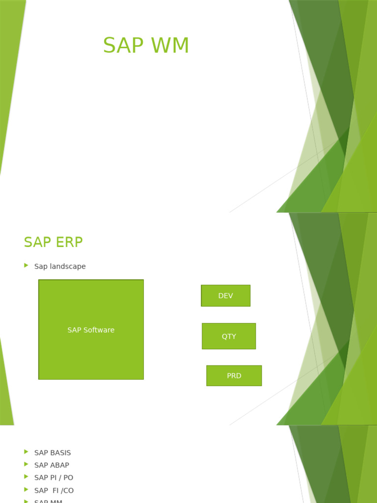 Sap WM | PDF