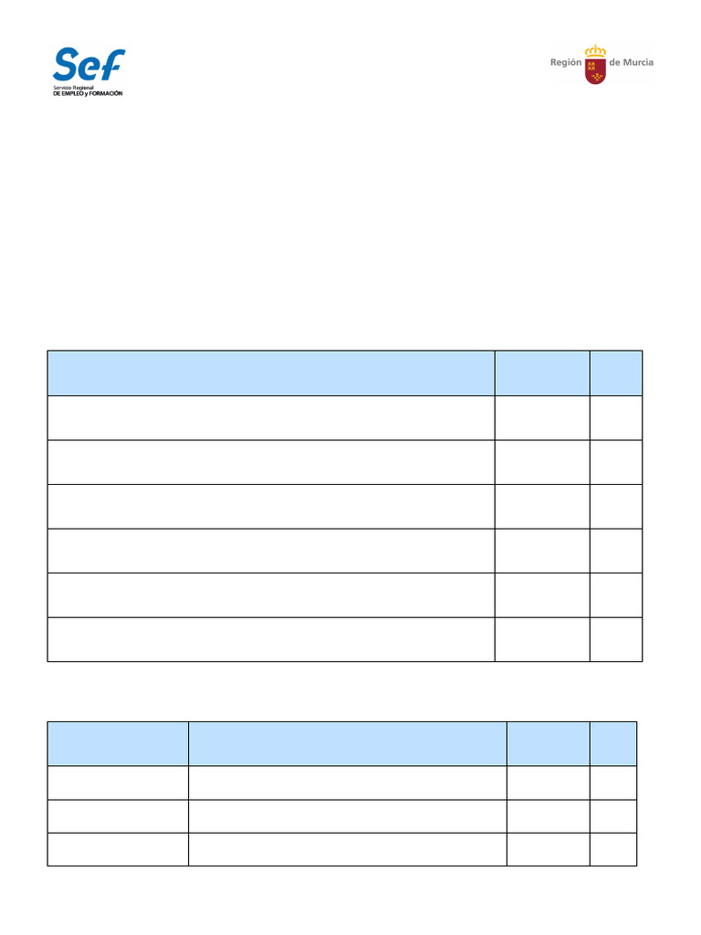 CV Generado SEF | PDF