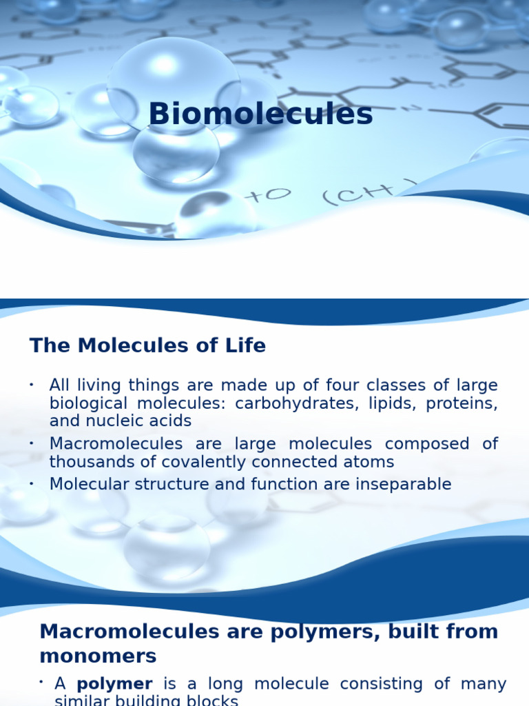 INTER 2 Lesson 4 - Biomolecules | PDF