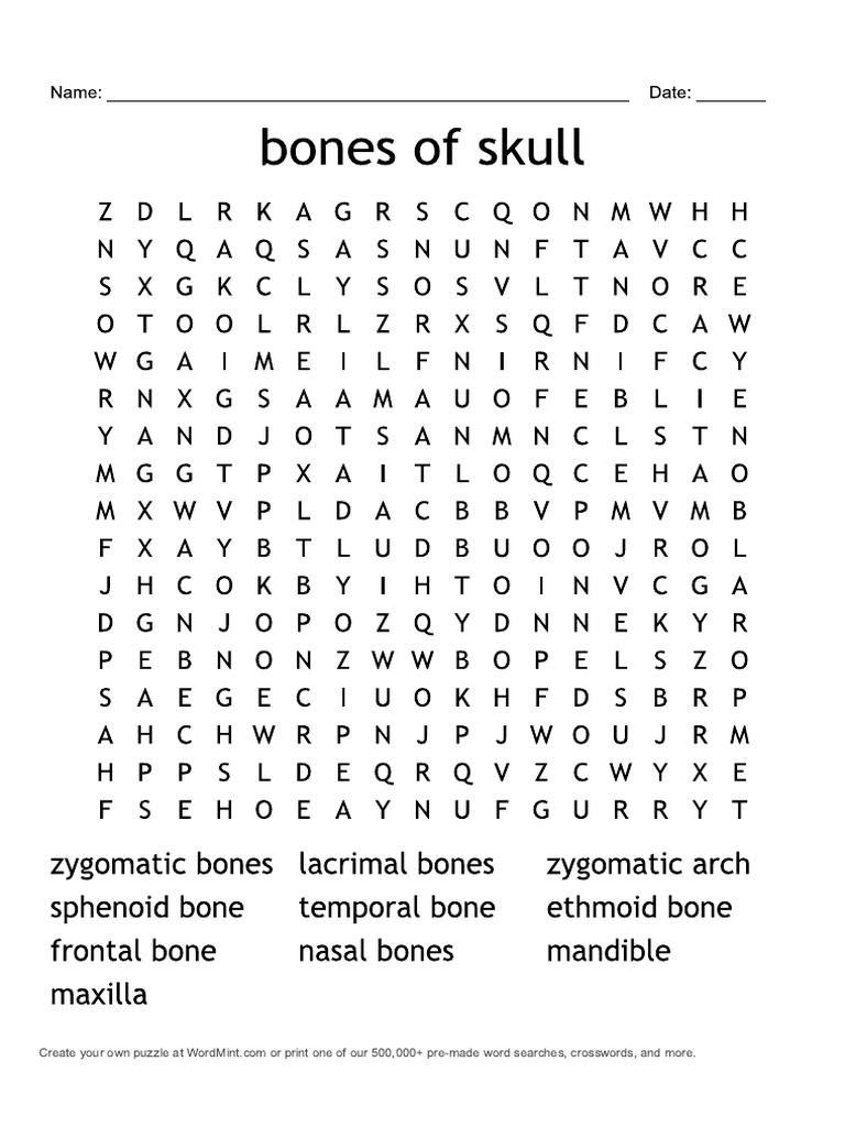Bones of The Face Wordsearch WK 2 | PDF