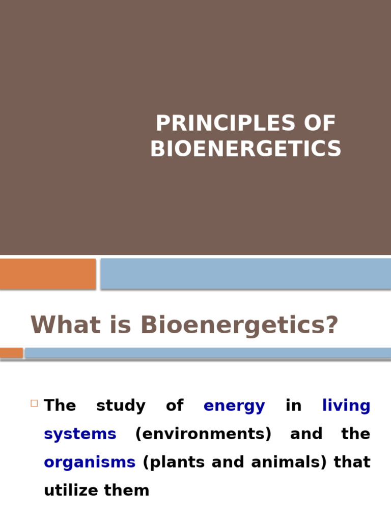 Bioenergetics | PDF