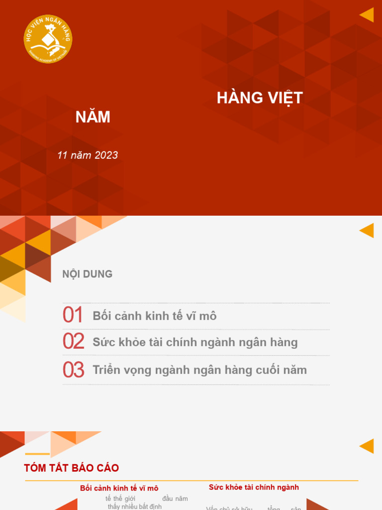 BAV - Vietnam Banking Report 2023Q3 (VNM) | PDF