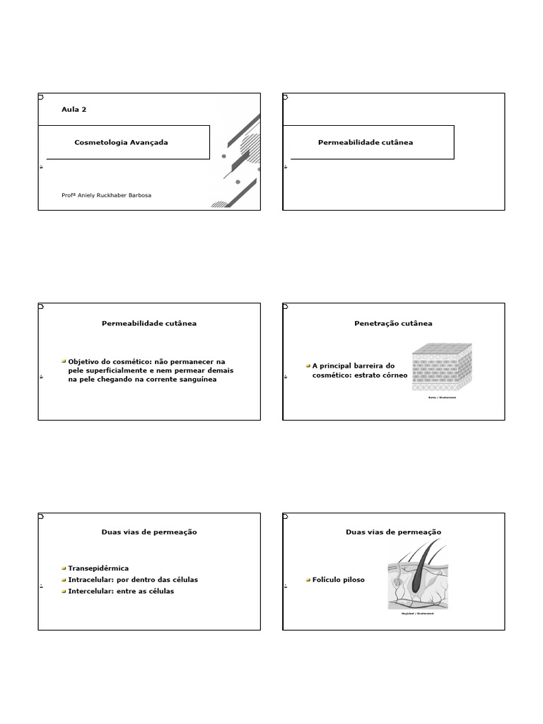 Aula 2: Prof Aniely Ruckhaber Barbosa | PDF