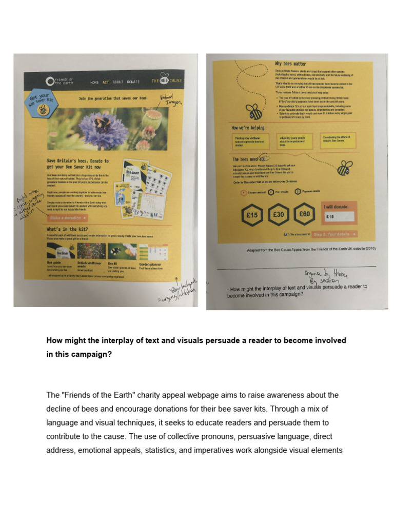 Paper 1 Bees English | PDF