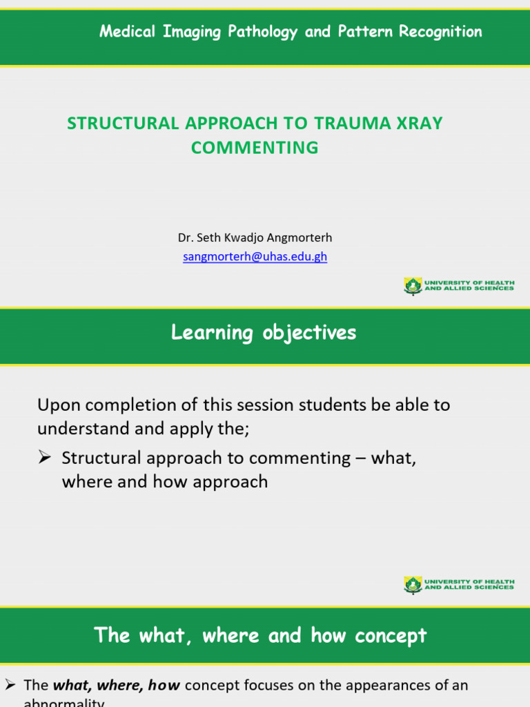 The What Where and How Approach | PDF