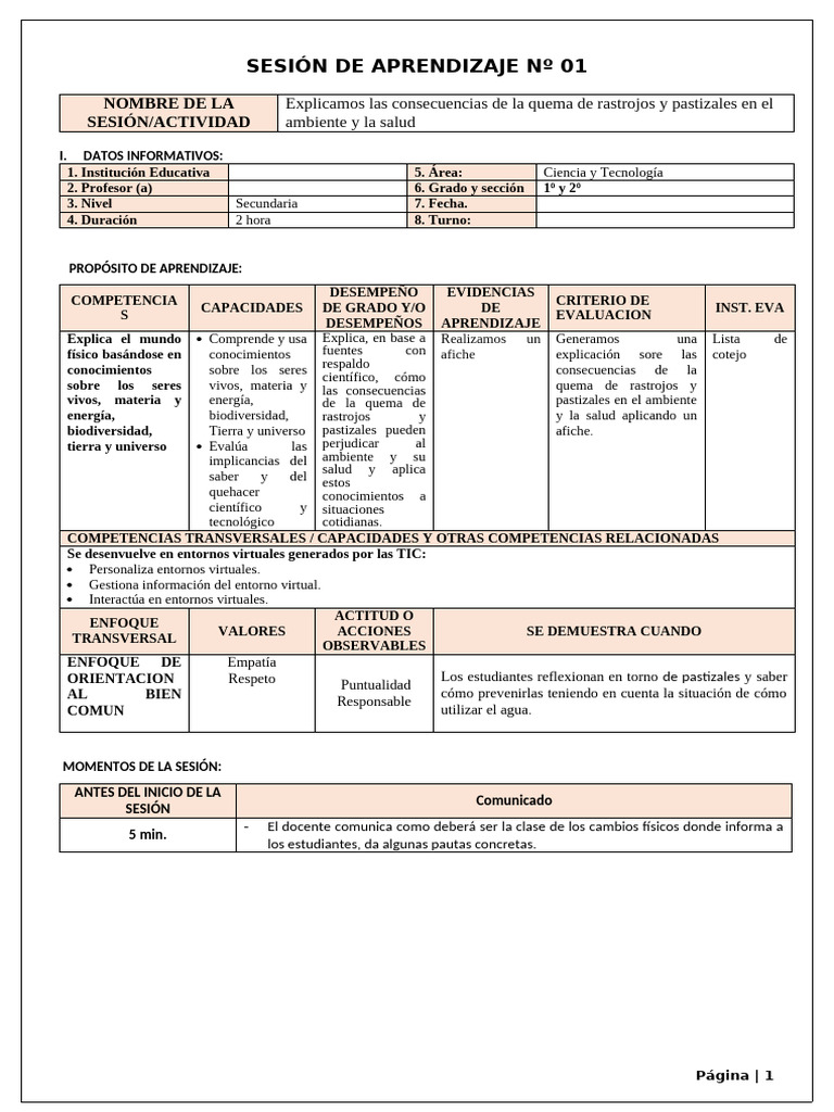 1º y 2º SESION ACT. 06 CYT SEM 01 | PDF