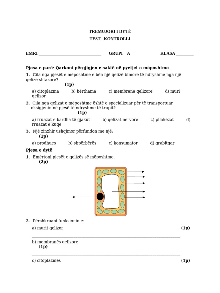 Biologjia 7 Teste Tremujori II | PDF
