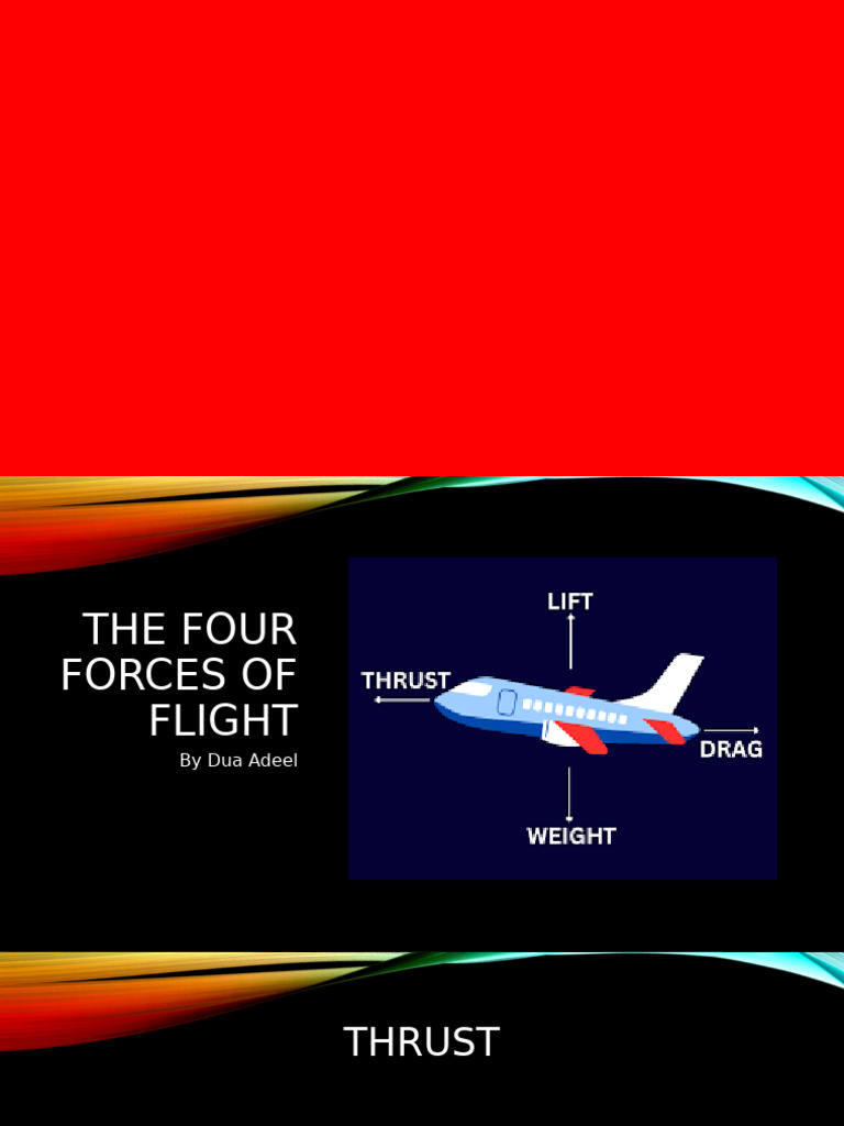 Four Forces of Flight | PDF