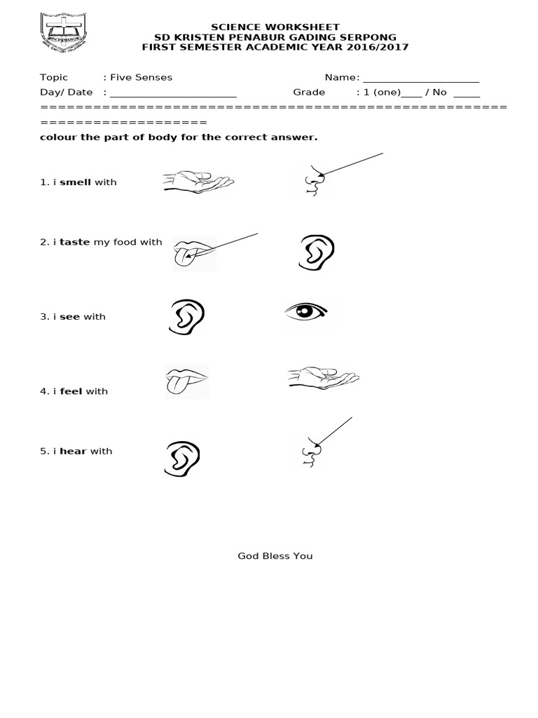 Science Five Senses | PDF