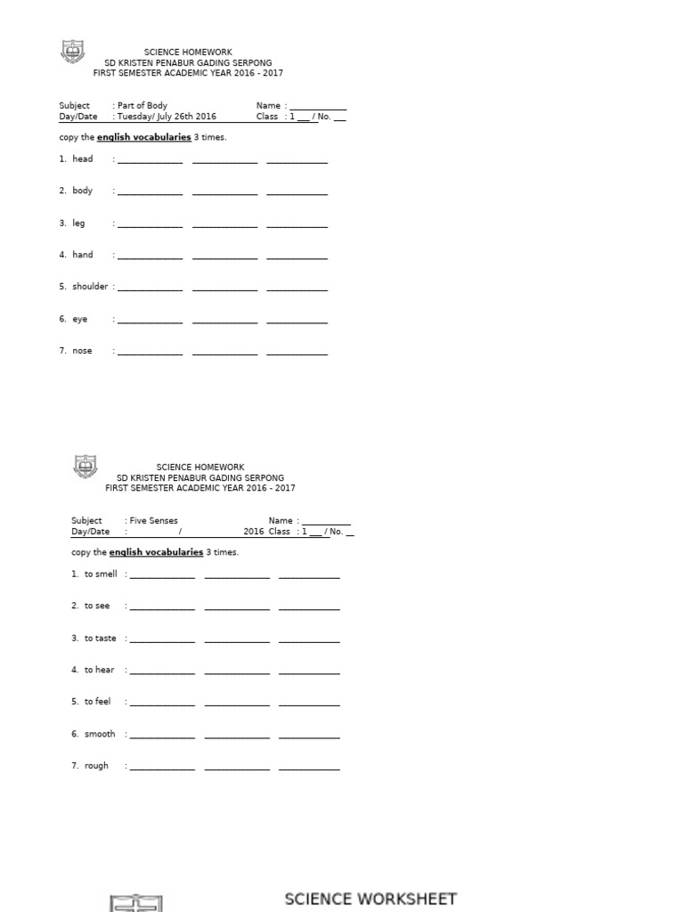 Science Vocabulary | PDF