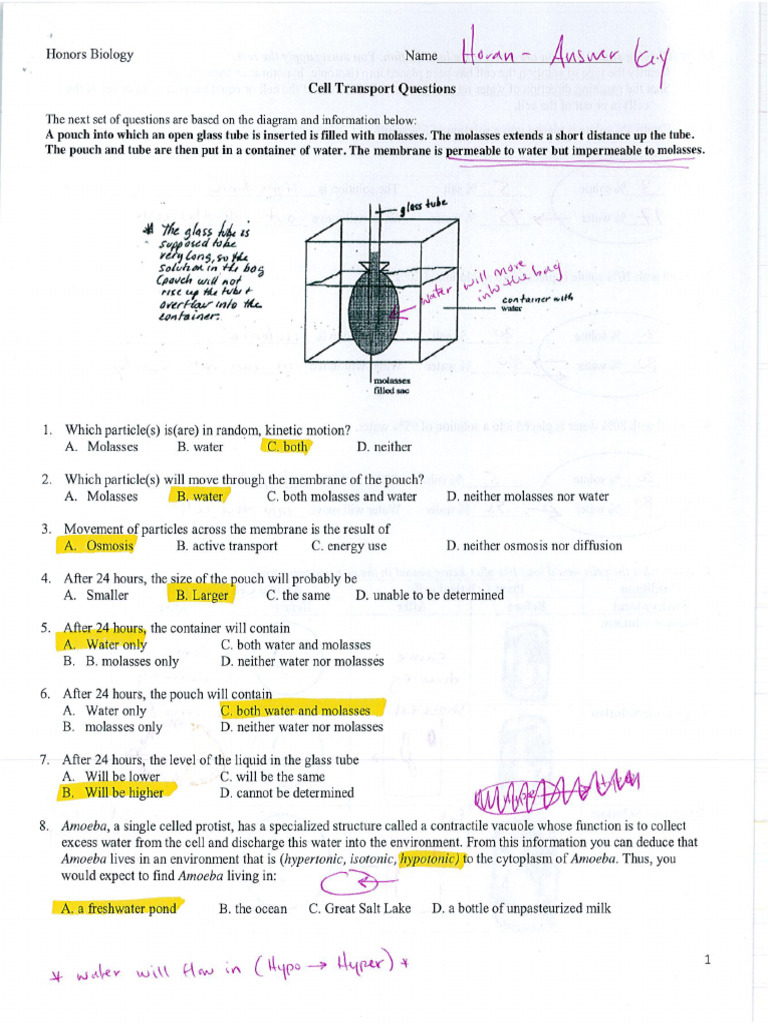 Unit 5 Answer Key Hbio | PDF
