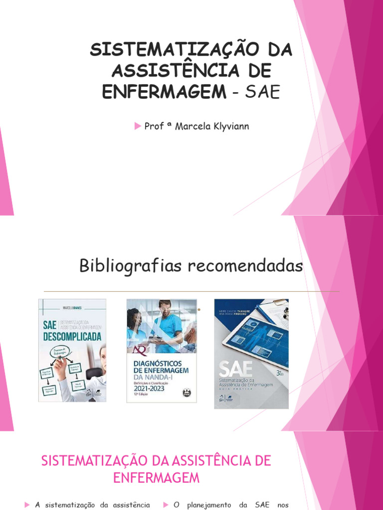 Aula 1 e 2 - SAE 2-1 | PDF