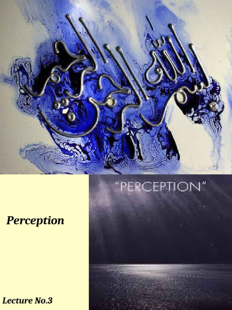 3. Lecture Perception | PDF