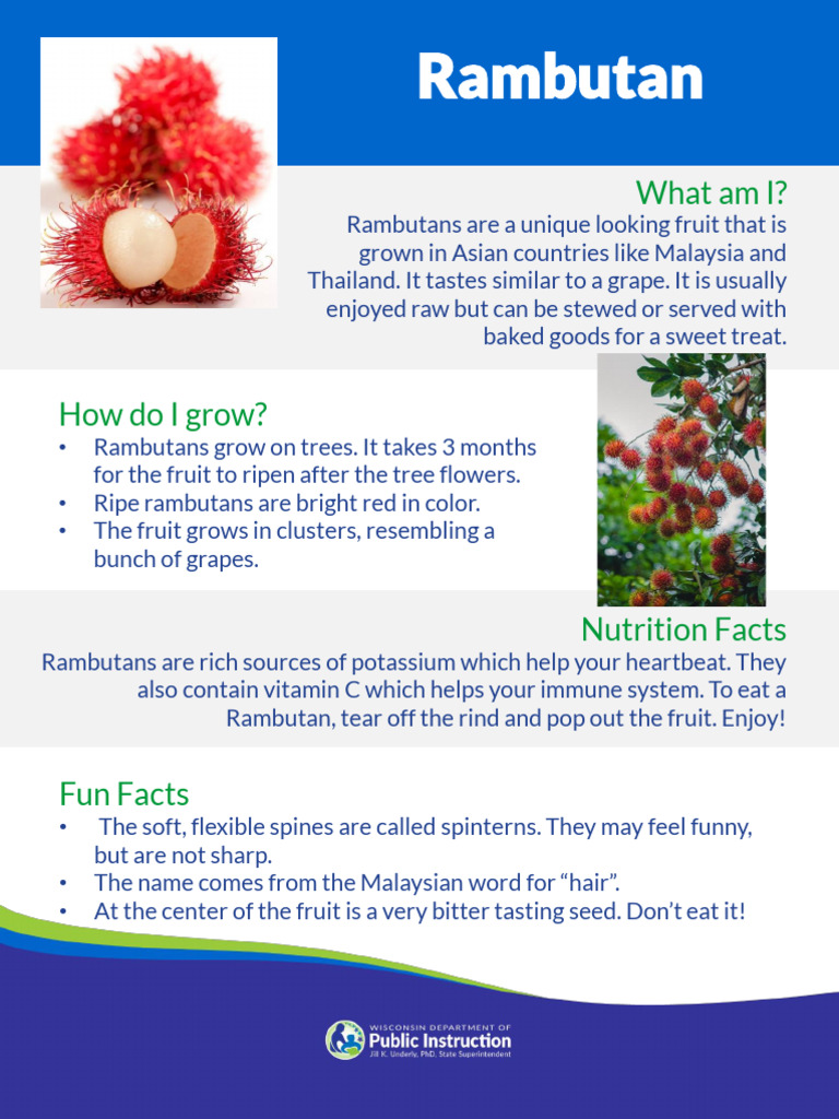 Fact Sheet Rambutan | PDF