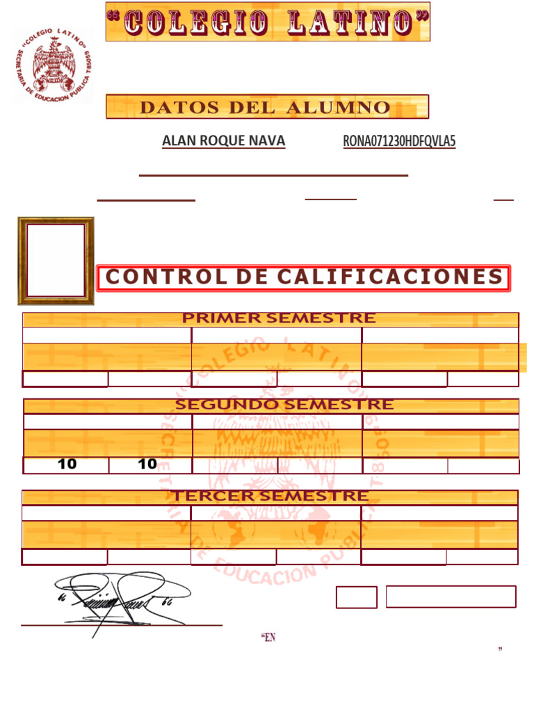 Boletas Alan Roque Nava | PDF