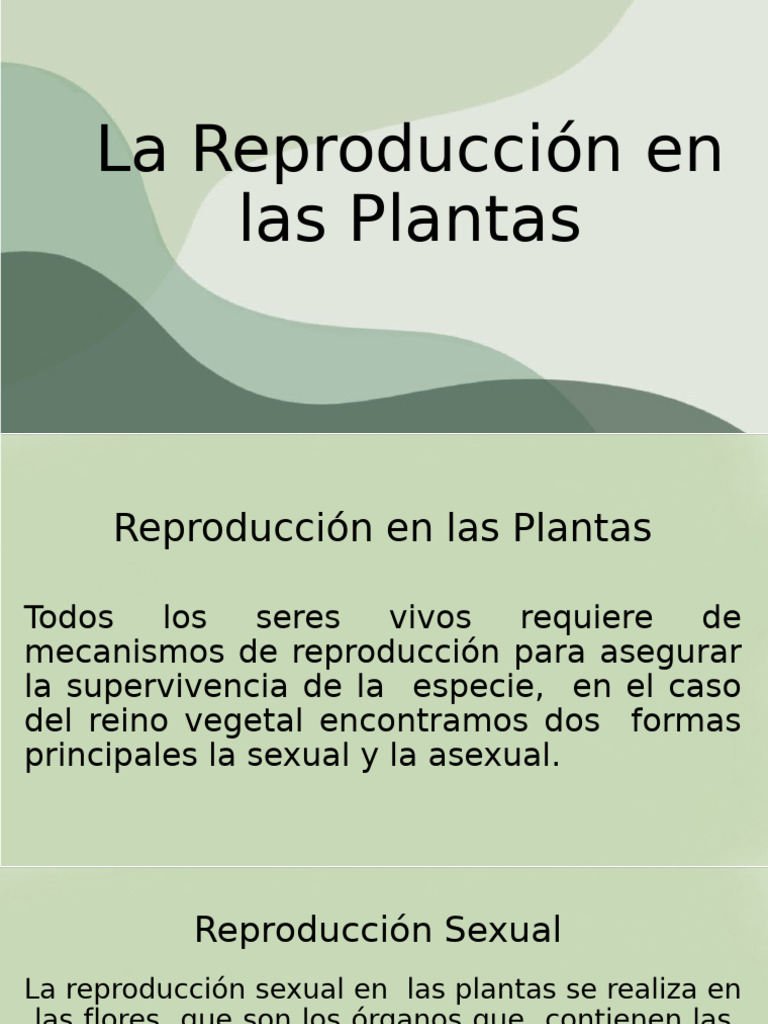 Reproduccion en Las Plantas | PDF | Hogar, jardinería y bricolaje