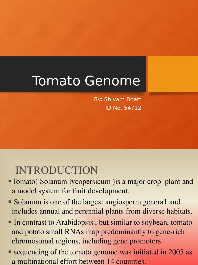 VND - Openxmlformats Officedocument - Presentationml.presentation ...