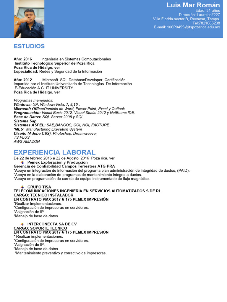 Curriculum Luis Mar Roman 2 | PDF | Computer Engineering | Application Software