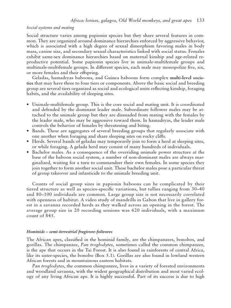 Alfred L. Rosenberger - Primates - APES | PDF