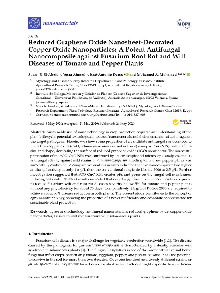 Nanomaterials 10 01001 v2 | PDF