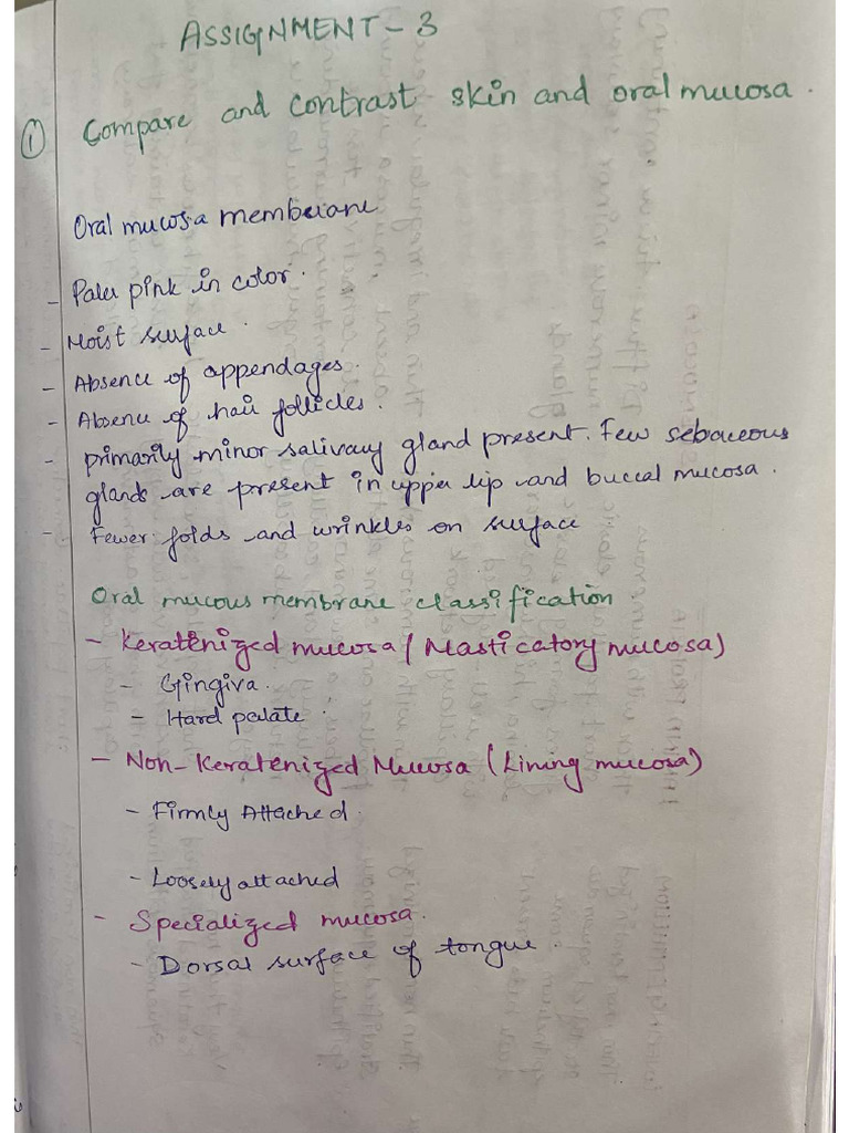 Assignment 3 - Compressed | PDF