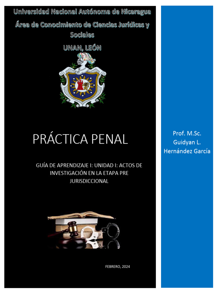Guía metodológica 1-Práctica penal regulares | PDF