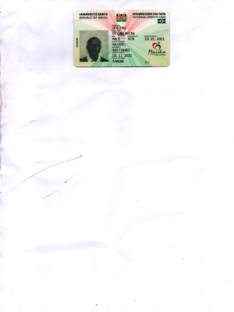 Brian Id | PDF
