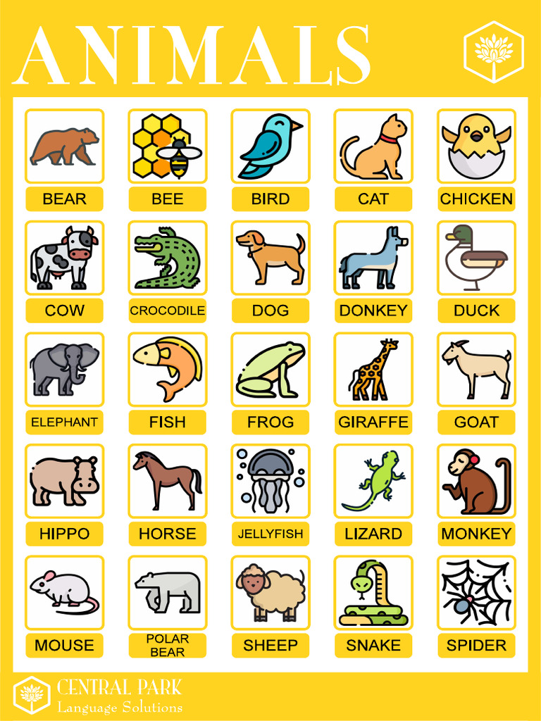 Starters Animals | PDF