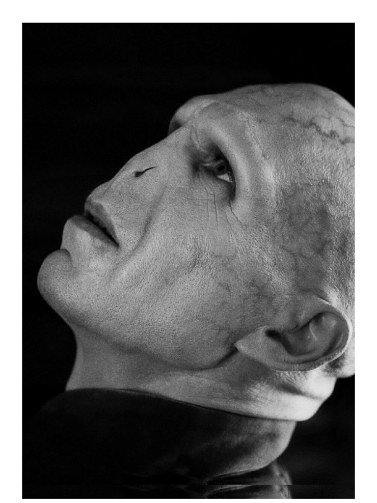 VOLDEMORT | PDF