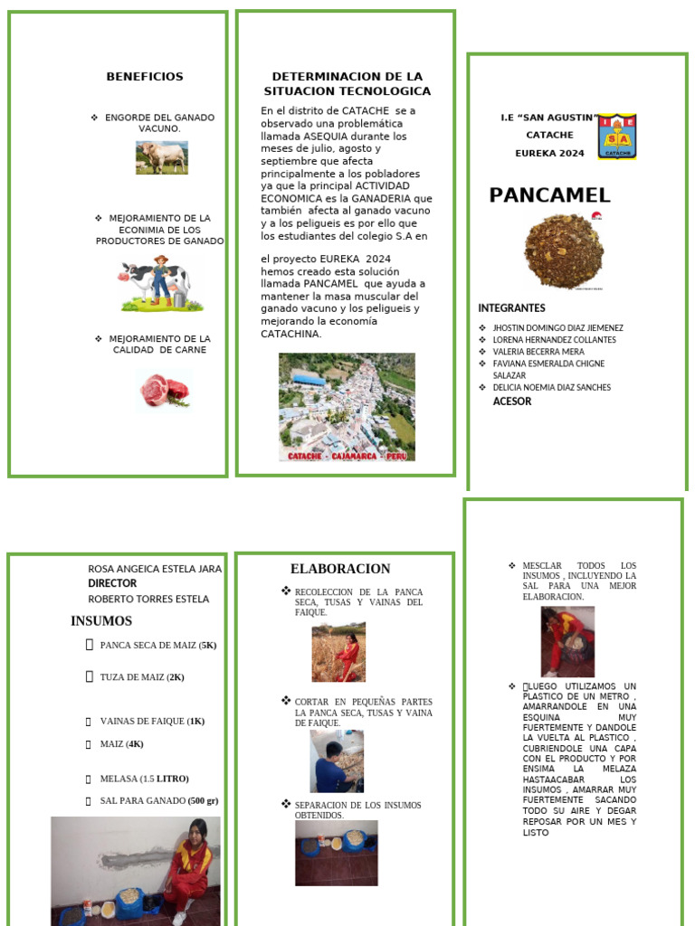 Triptico de Eureka | PDF | Ganado | Animales domesticados