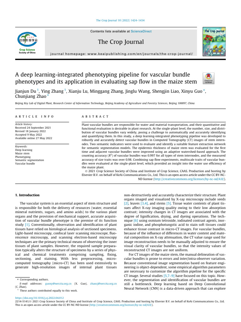 A Deep Learning-Integrated Phenotyping Pipeline For Vascular Bundle Phenotypes and Its ...