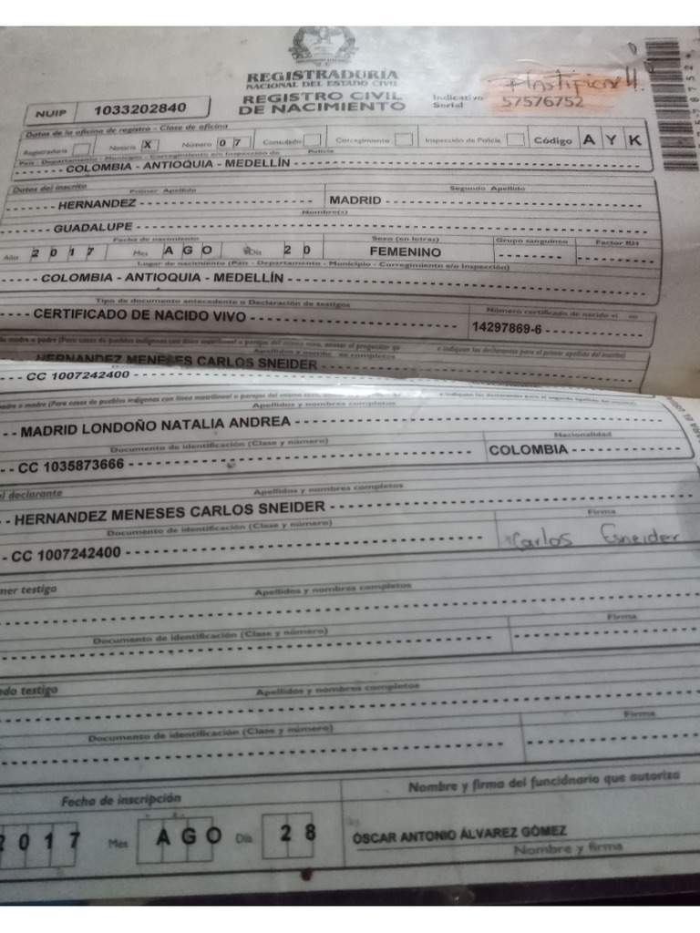 PDFReader_20241008_1133 | PDF