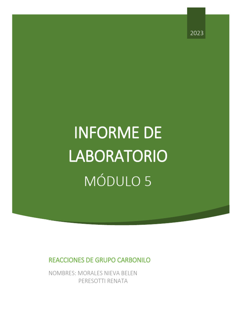 Informe 5 | PDF