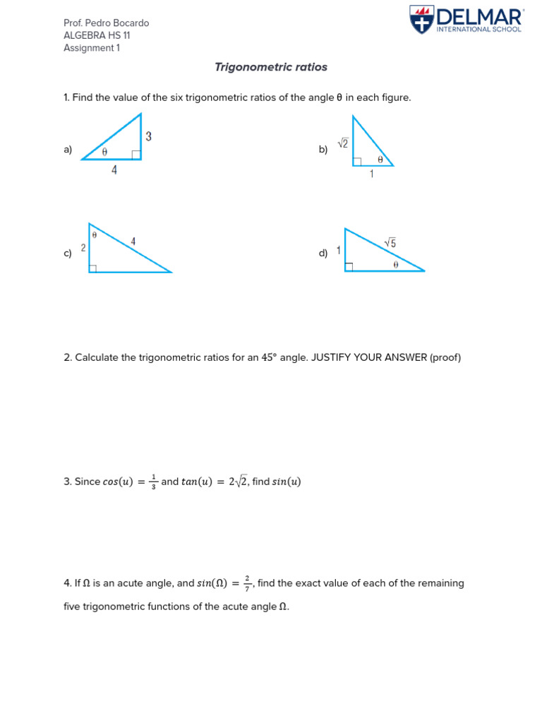 Assignment 1 - Trigonometric Ratios | PDF