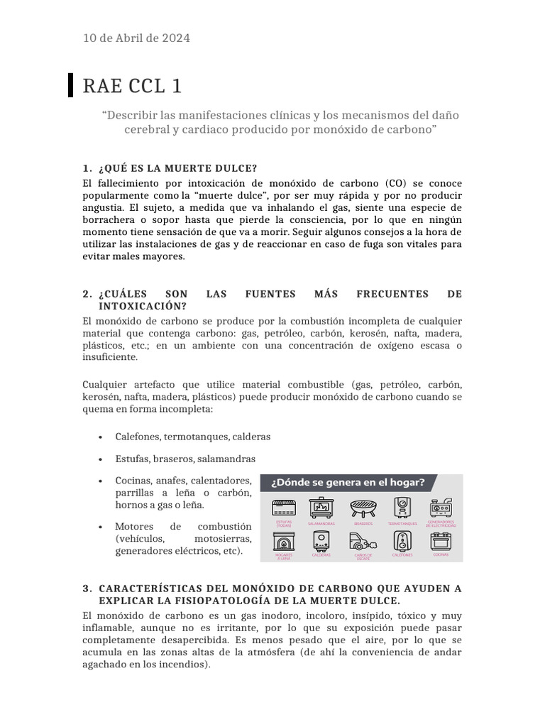 Resumen RAE CCL 1 | PDF