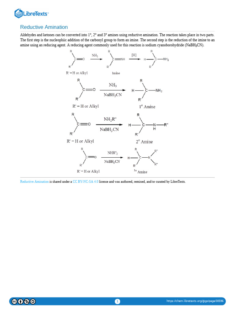 Reductive Amination | PDF