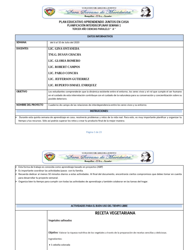 Planificación Aprendamos Juntos en Casa 8vo Semana 6 | PDF