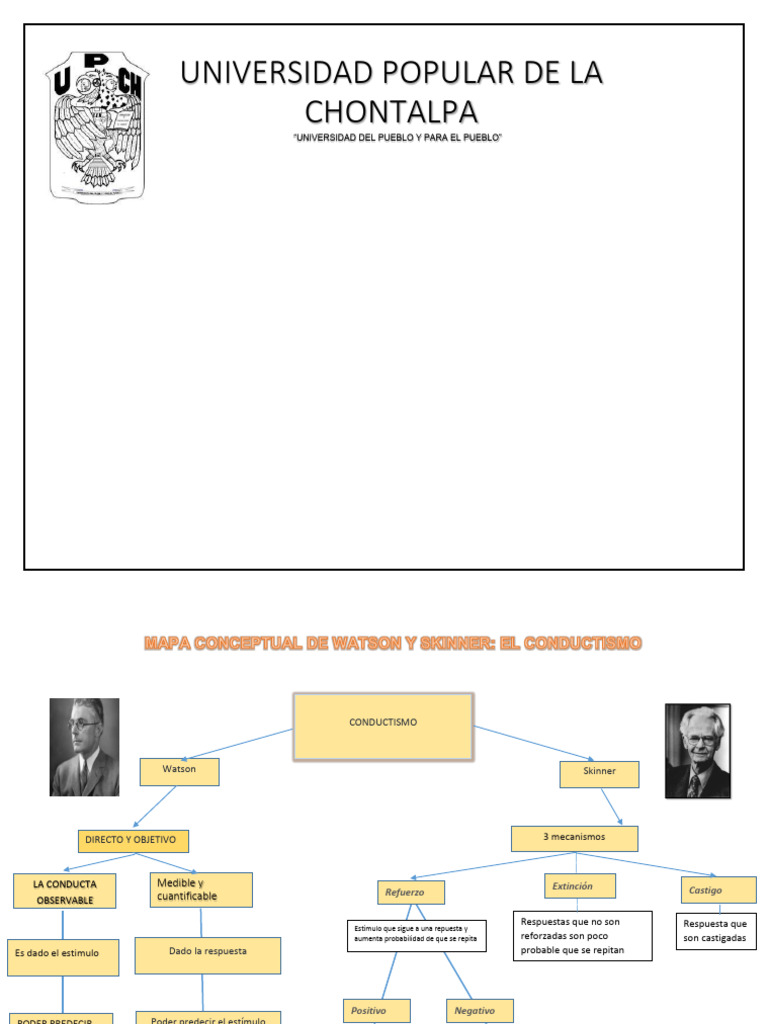 Mapa Conceptual SKINNER Y WATSON | PDF