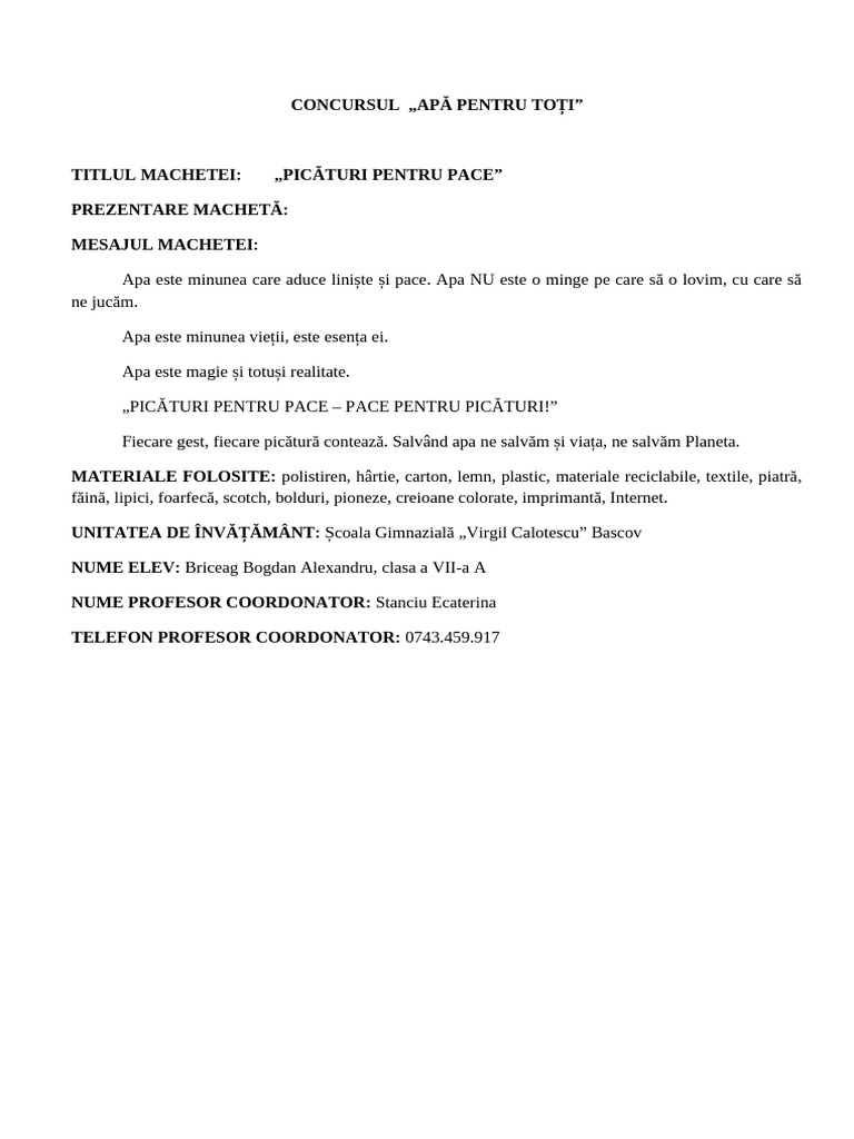 Descriere Macheta | PDF