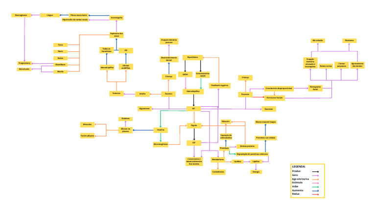 Mapa Conceitual - GH | PDF
