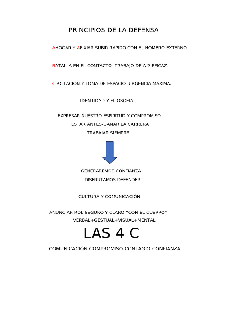 Principios de La Defensa | PDF