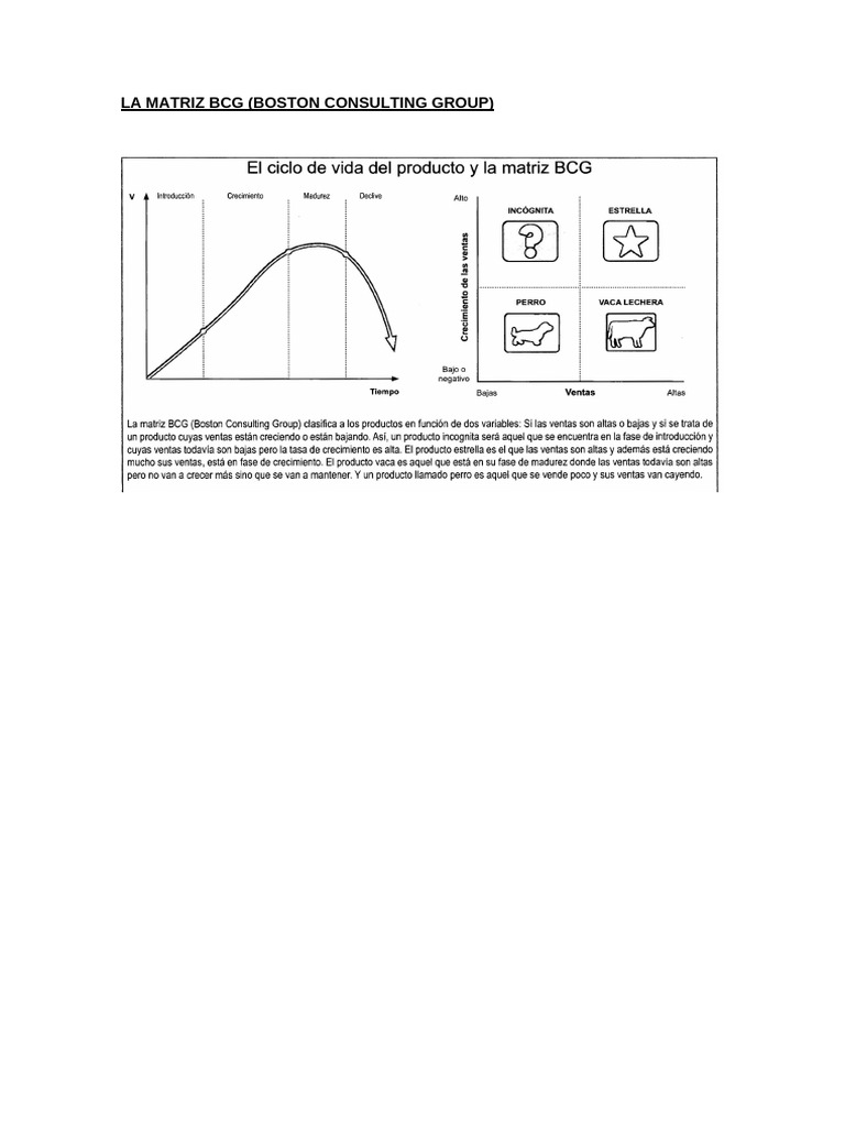 Matriz BCG | PDF