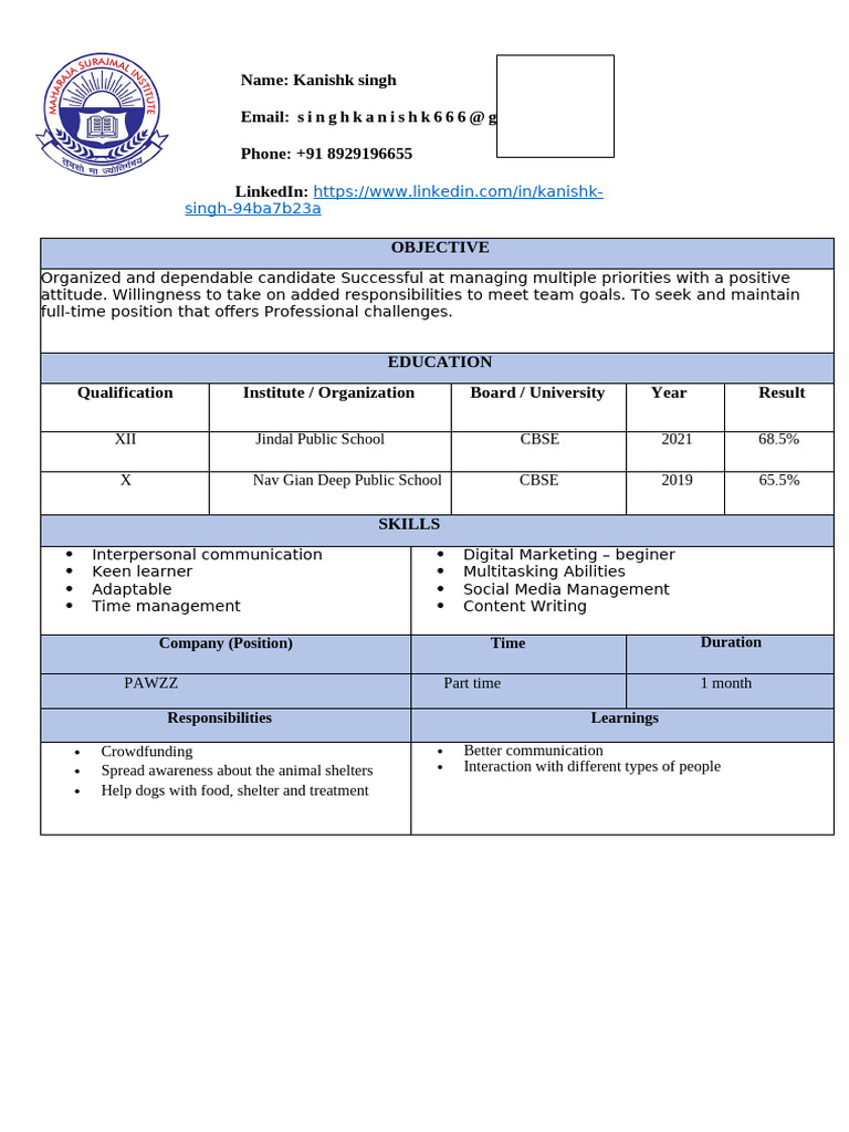 CV Template | PDF