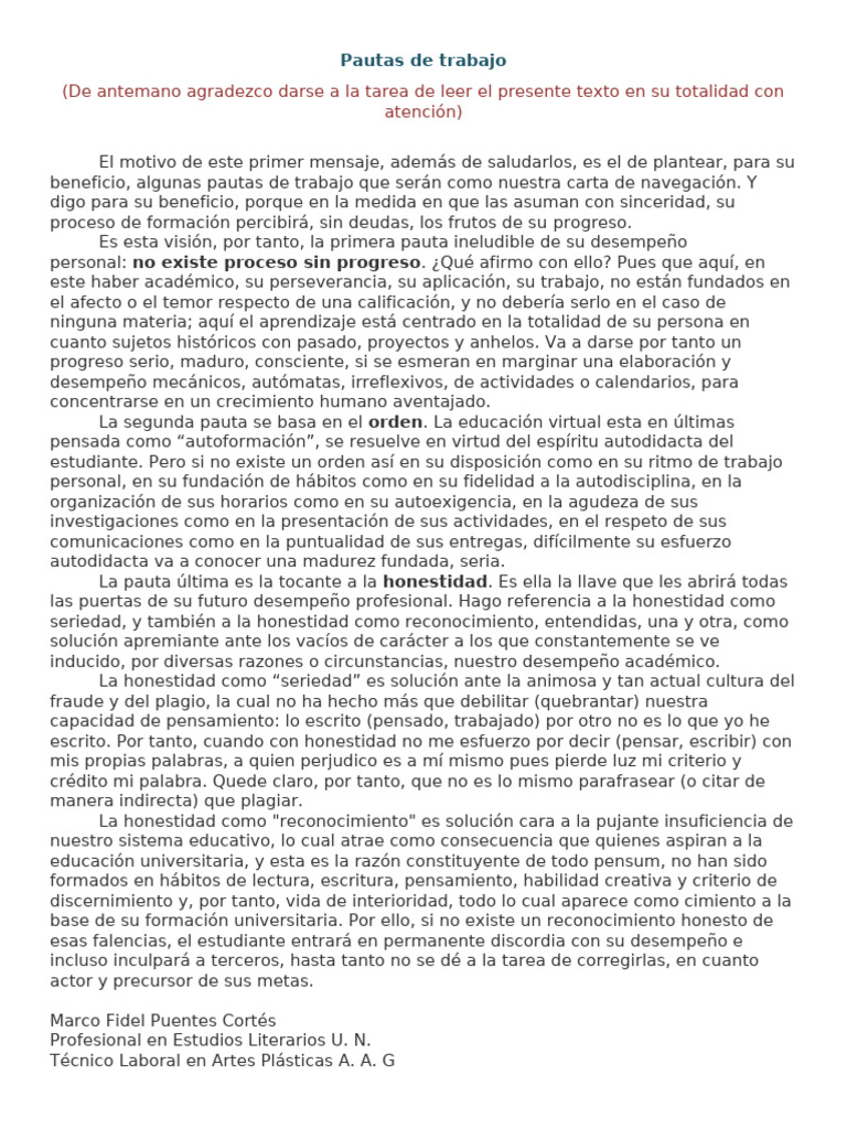 Pautas de Trabajo | PDF
