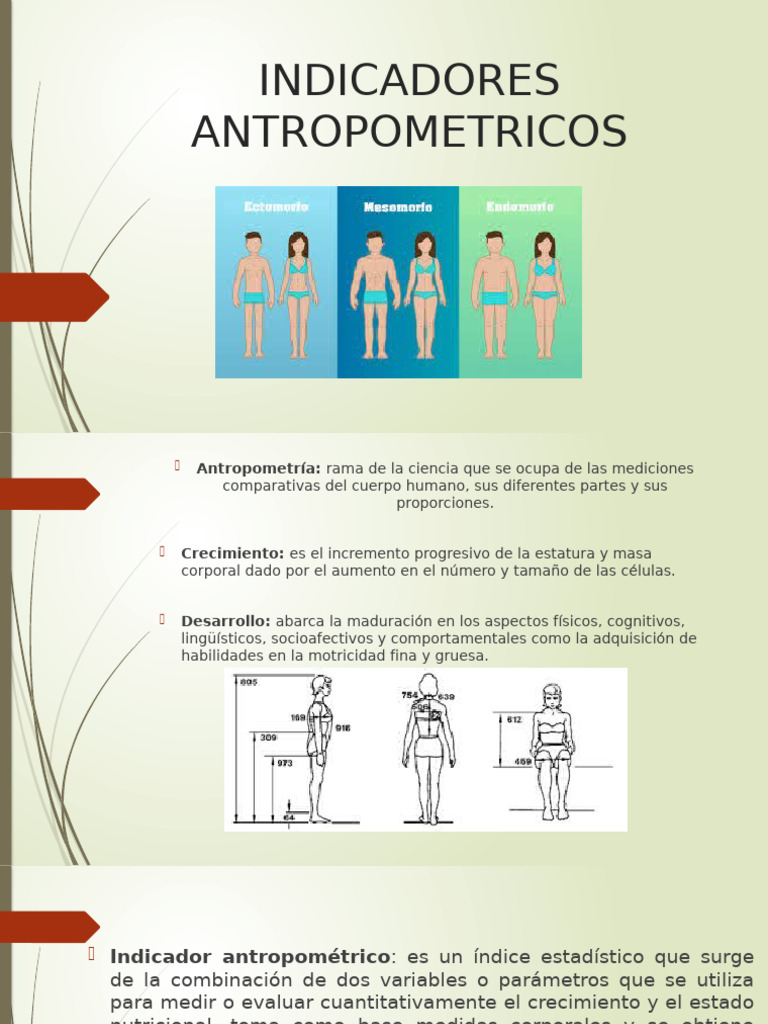 Indicadores Antropometricos | PDF